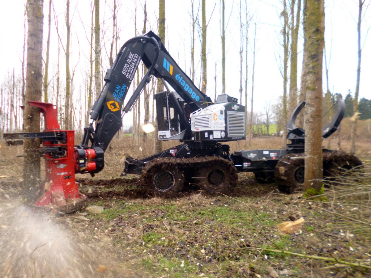 Abatteuse Timberpro coupe et maintient des arbres de 80 cm diamètre